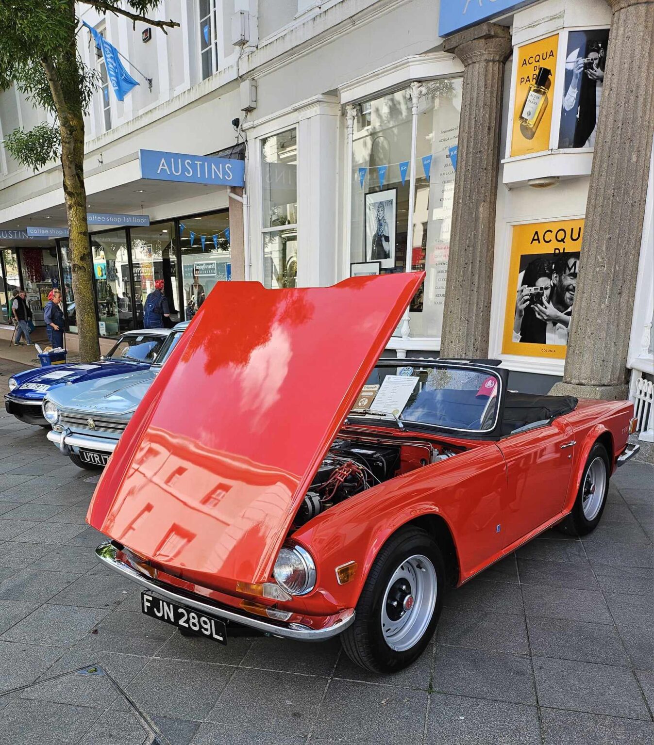 Teignbridge Classics Devon